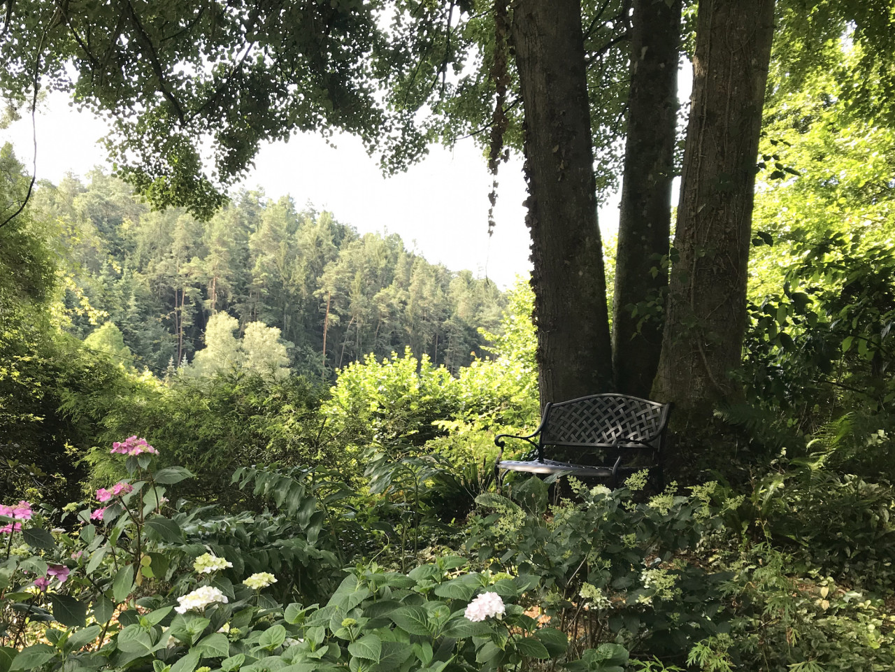 Boomhars van tuinmeubelen verwijderen – Lazy Susan